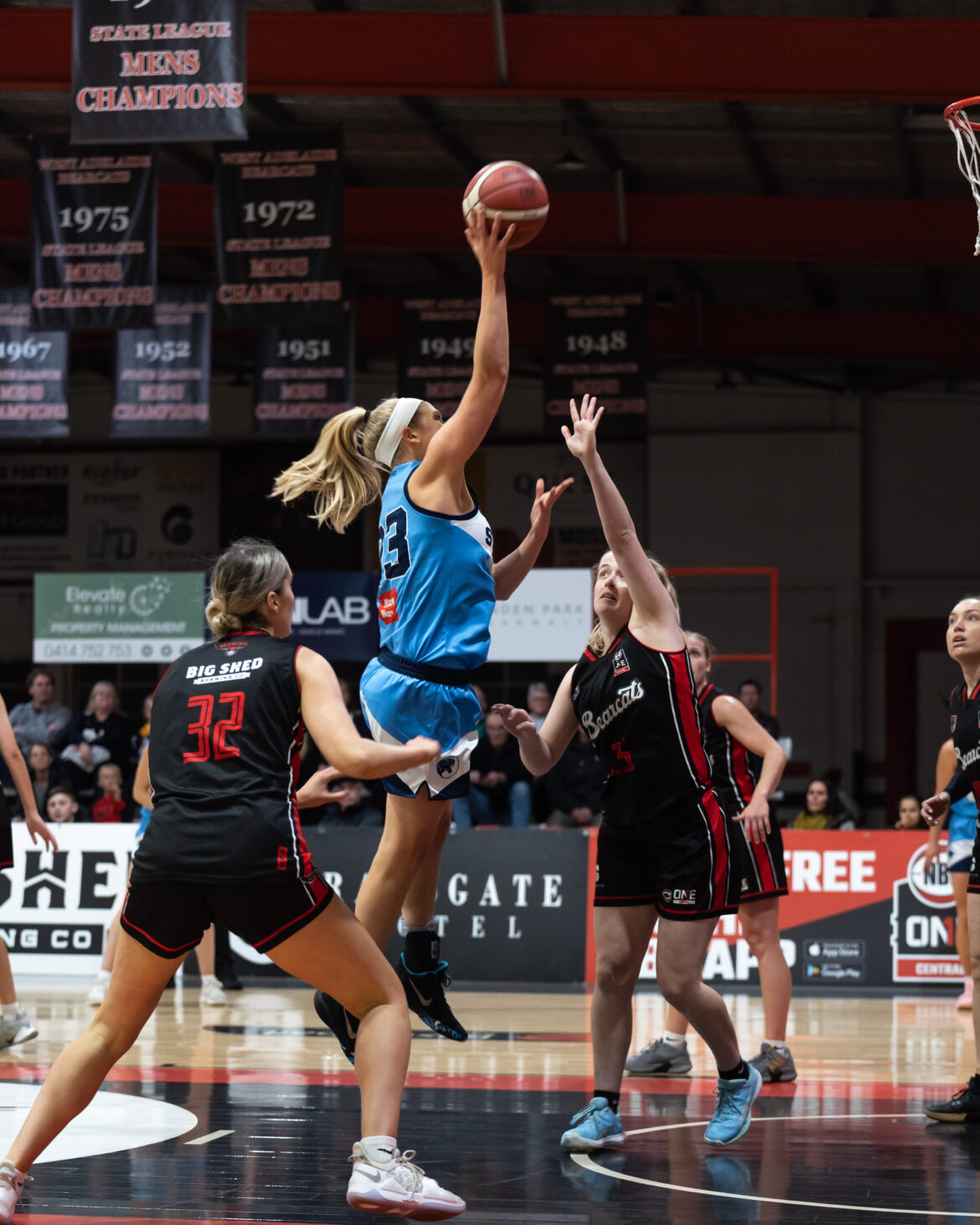 Reversed Roles – National Senior Games Association